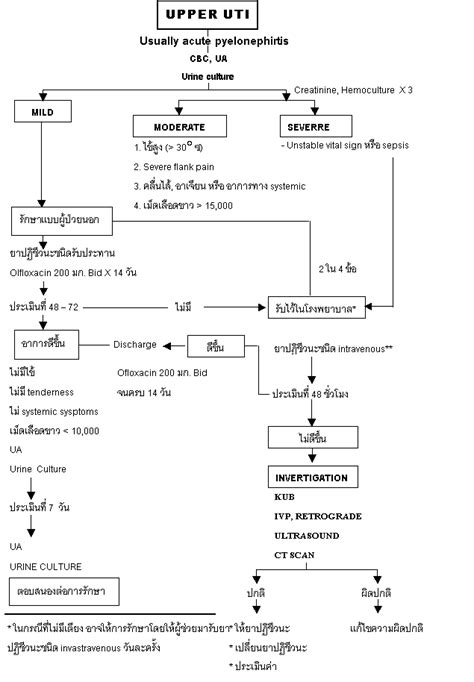 แนวทางการรักษา Urinary Tract Infection