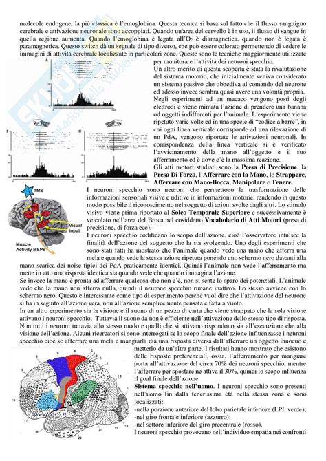 Riassunto Esame Neurofisiologia Profssa S Incerpi Libro Consigliato