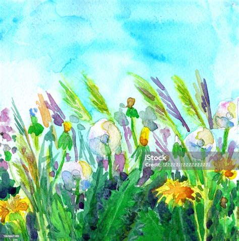 노란색과 흰색 민들레 다양한 허브 줄기와 녹색 잔디의 파노라마 풍경 필드와 초원의 꽃 손으로 그린 식물 수채화 스케치 푸른 하늘 여름 또는 봄 자연 0명에 대한 스톡 벡터