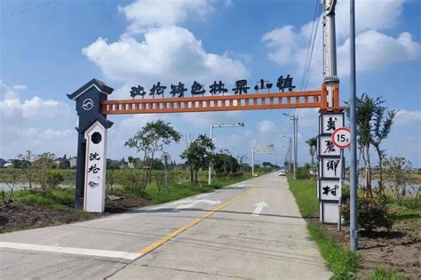 贯彻市委全会精神｜沈伦镇：多措并举提升产业质效 全域发力共建秀美沈伦发展全力优势