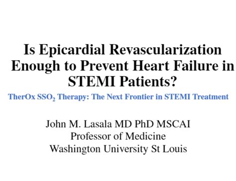 Is Epicardial Revascularization Enough To Prevent Heart Failure In