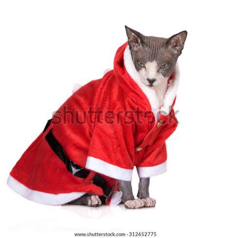 Naked Grinch Royalty Free Images Stock Photos Pictures Shutterstock