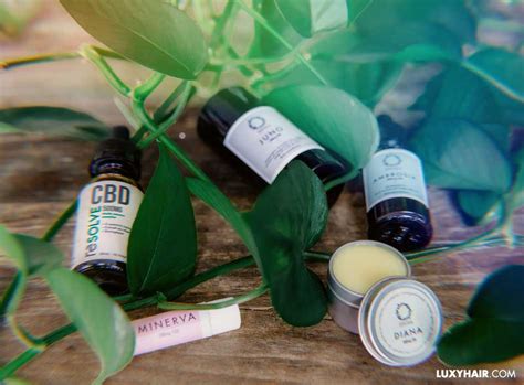 Cbd Oil For Hair How To Use Cbd Oil For Hair Loss And Hair Growth