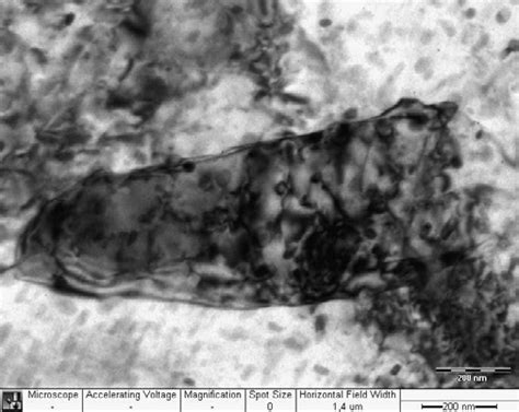 Microstructure After Msf At 220 190°С A Subgrain B Dispersed Download Scientific Diagram