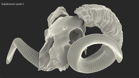 Ram Skull With Dark Horns 3d Model 59 3ds Blend C4d Fbx Max Ma