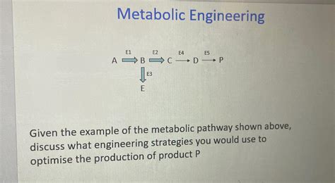 Solved Metabolic Engineeringgiven The Example Of The