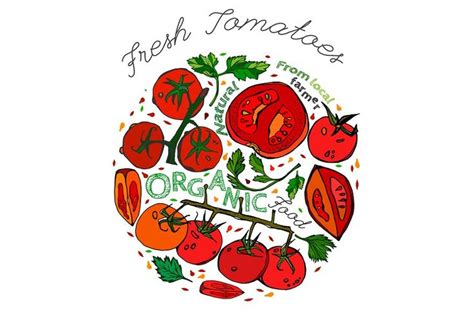 Vector Tomato Pattern Pattern Vector Illustration Template Design