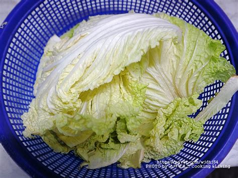 배추나물무침 배추나물 된장무침 배추데치기 간단반찬 배추요리