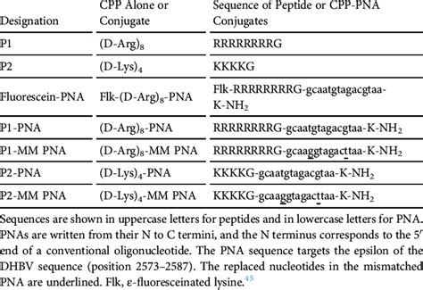 Sequences Of Pna And Cpp Pna Conjugates Download Table