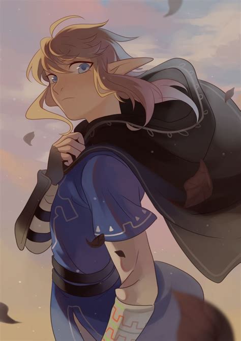 Link By Kmkryunsu Botw Personajes De Anime Arte De Personajes