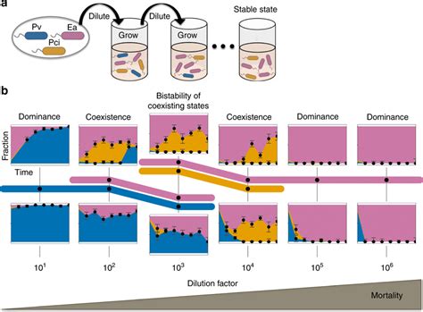 Increasing Dilution Causes Striking Shifts In A Three Species