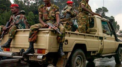 Rebel Forces In Ethiopias Tigray Launch New Offensive Seize Town