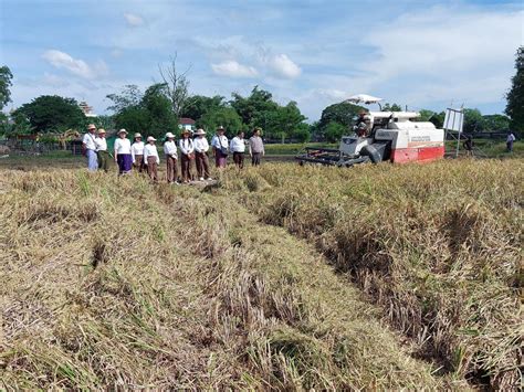 မင်္ဂလာဒုံမြို့နယ်တွင် မိုးစံပါးစံကွက်ရိတ်သိမ်းပွဲ ပြုလုပ