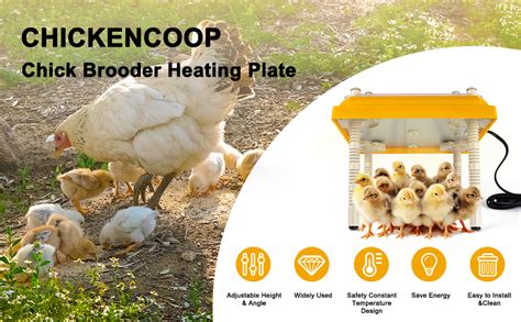 Chikencoop Chicken Brooder Heater Plate 10 X 10 Heat