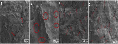 SEM Micrographs Of A TGU1 G B TGU2 G C TF G And D PF Ggel