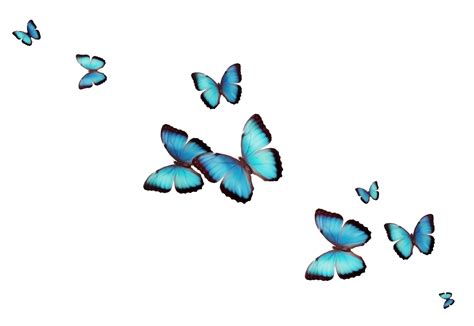 Nubes Azules Aesthetic Png Fondos De Pantalla Mariposas Azules Porn