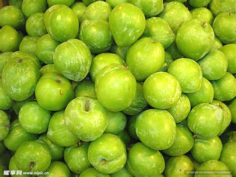 布林 青布林摄影图水果生物世界摄影图库昵图网