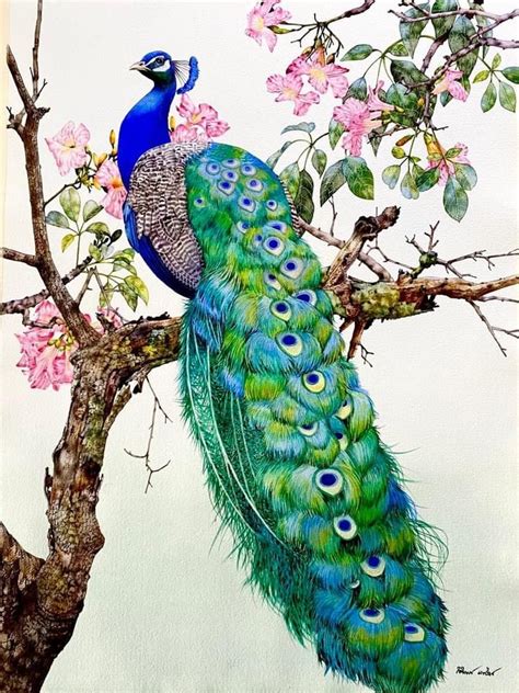 Lifelike Peacock Tail Png Images Peacock Clipart Blue Peacock Tail