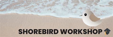 online shorebird workshops felix angelov