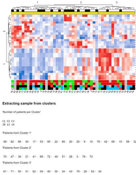 No Reproductibility Of Clusters Created During Multiple Iterations Of Heatmap Issue