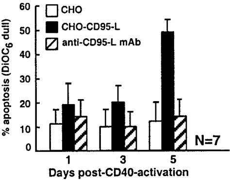 Cd95 Mediated Apoptosis Of Cd40 Activated Cll Cells Cll Cells Were