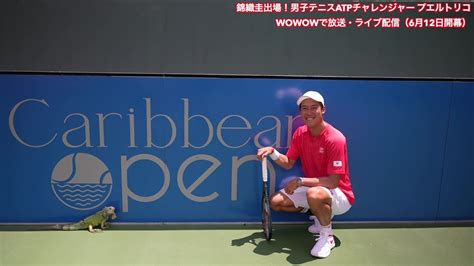 【復帰戦目前！】錦織圭 練習風景（2023610）│男子テニスatpチャレンジャー プエルトリコ【wowow】 Yayafa
