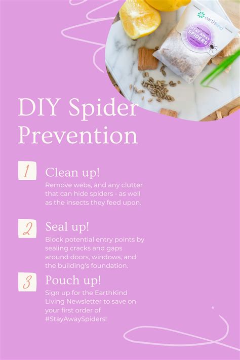 How To Get Rid Of Spiders In Closet Areas Artofit