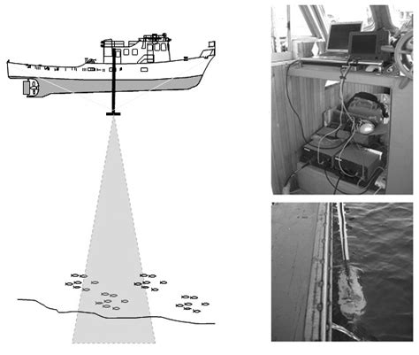 Schematic Configuration Of Hydroacoustic System In Mra Of Jeju
