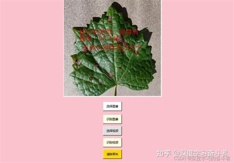 豌社蚪毕惕跛珍（入韧型殷舞魔颤寥效拂贸，python寡宰，pytorch松妨） 知乎