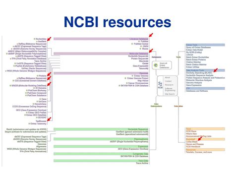 Ppt Using The Protein Data Bank An Rcsb Pdb Tutorial And More