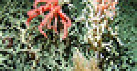 Scientists Caution Against Exploitation Of Deep Ocean Newsroom Oregon State University