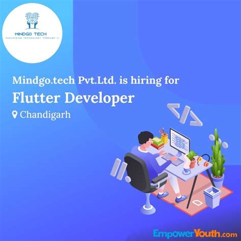 Flutter Developer Flutter Developer