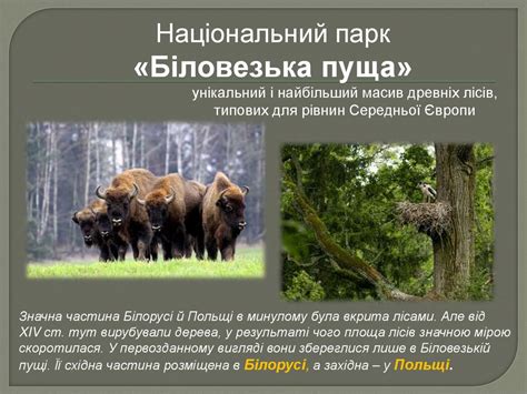 Національні парки та природні обєкти Євразії занесені до списку Всесвітньої спадщини ЮНЕСКО