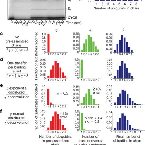 Atf4 Is An Unstable Protein And Trcp Modulates Its Stability A