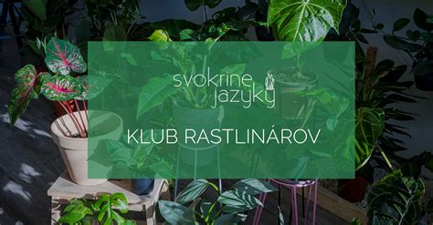 Svokrine Jazyky Klub Rastlinárov