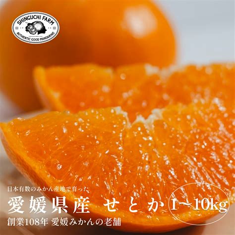 【楽天市場】【創業108年 愛媛みかんの老舗厳選】せとか【送料無料】【愛媛県産】【農家直送】新口農園 家庭用 愛媛県 西宇和 八幡浜 川上