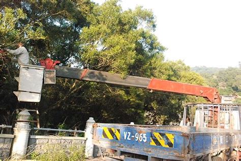 避免颱風造成路樹傾倒，影響行車安全 建設局展開行道樹修剪 馬祖日報