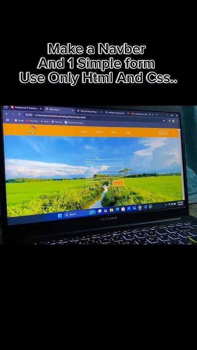 Make A Navber And 1 Simple Form Use Only Html And Css Webdeveloper