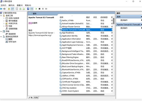 Idea项目运行设置规范网址localhost80801234这样的形式而不是localhost8080