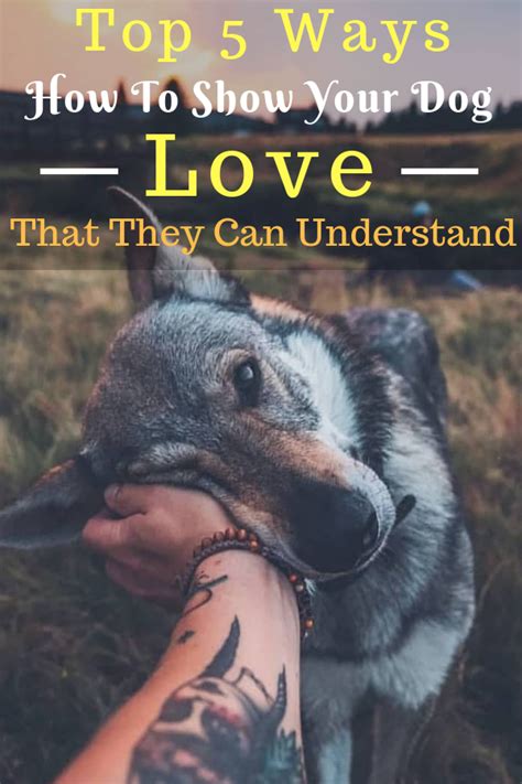 5 Ways How To Show Your Dog Love That They Can Understand Artofit