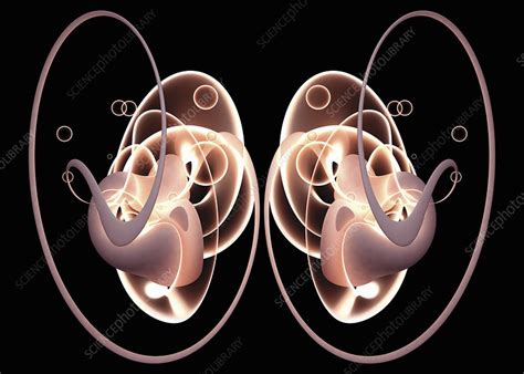 symmetrical swirling abstract pattern illustration stock image