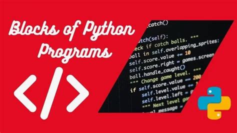 fundamentals of python first programs mastering the basics