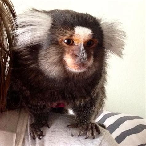 Taylor Stanberry Added A New Photo Taylor Stanberry