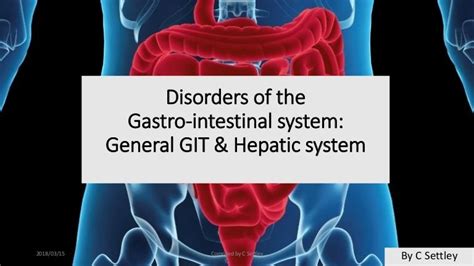 The gastro intestinal system