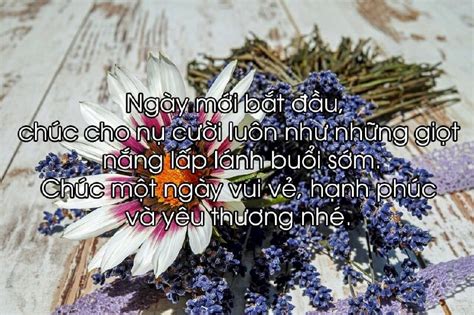 101 Hình ảnh Chúc Ngày Mới Thứ 4 đẹp ý Nghĩa Chất Lượng Cao Tải Miễn Phí
