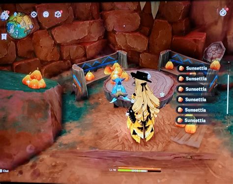 Sunsettia Genshin Impact Hoyolab