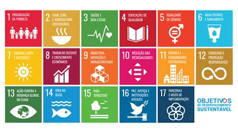 Conheça Os Objetivos De Desenvolvimento Sustentável Da Onu Infant Id
