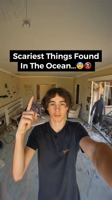 Scary Things Found In The Ocean Shorts Trending Reelsfb Viral
