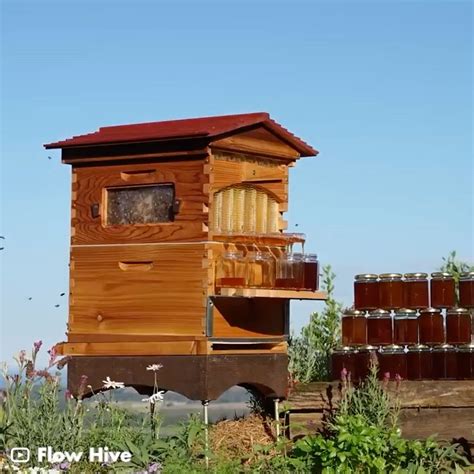 Stuart Dickenson Posted On Linkedin