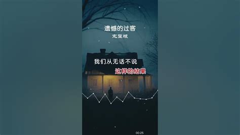 遗憾的过客 Youtube